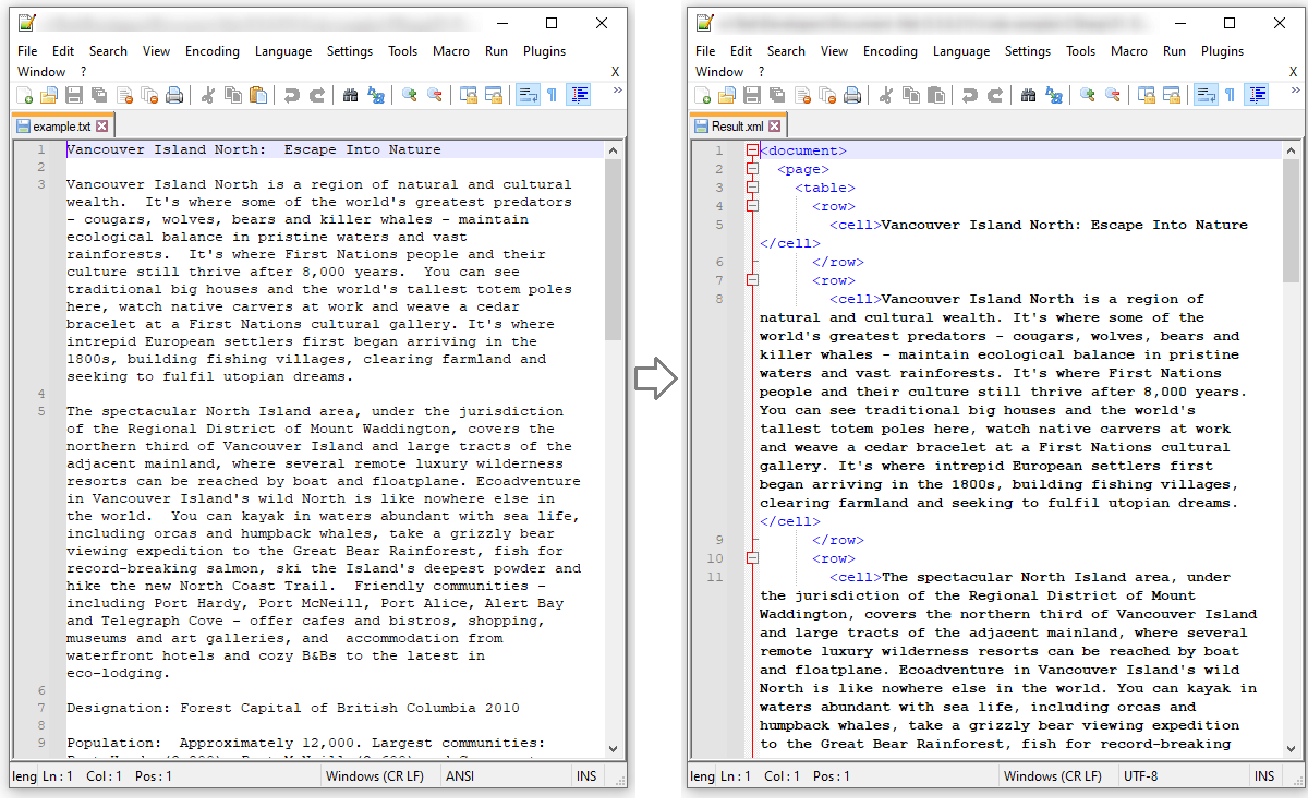 Convert Text To XML Format C And NET